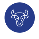 Overview | Ralphs Meat Company